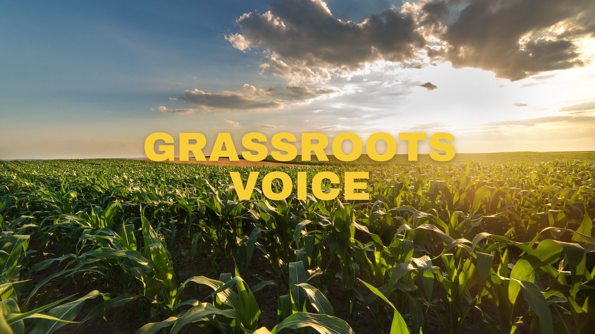 Priorities Hanging in the Balance this Election Year