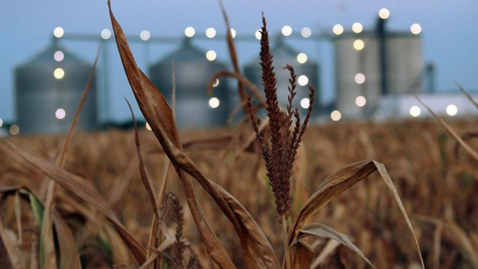 January/February 2026 Ethanol Industry News